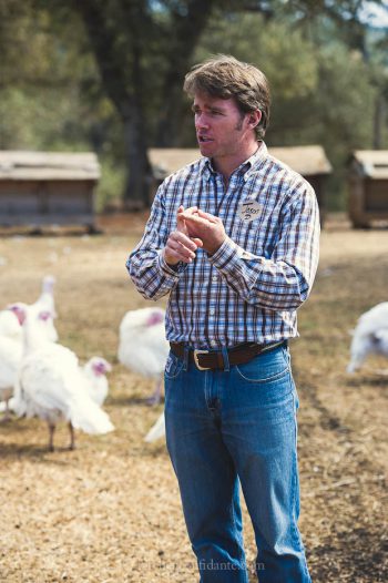 Sticky Turkey Wings & A Visit to Diestel Turkey Ranch - Kitchen Confidante®