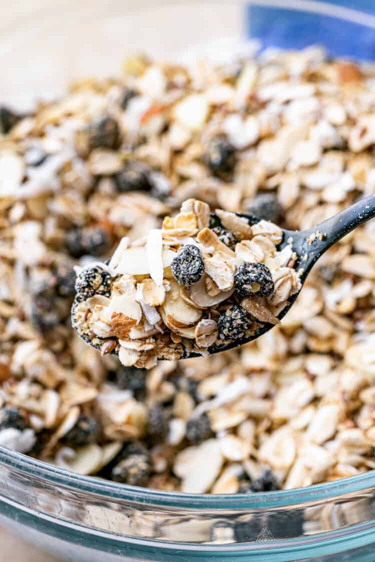 Blueberry Muesli | Kitchen Confidante