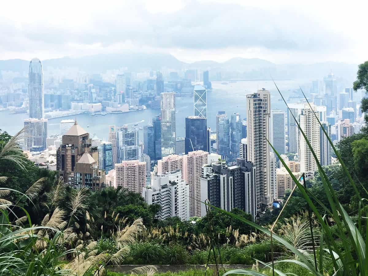 A Taste of Hong Kong: A Family Travel Guide - Kitchen Confidante®