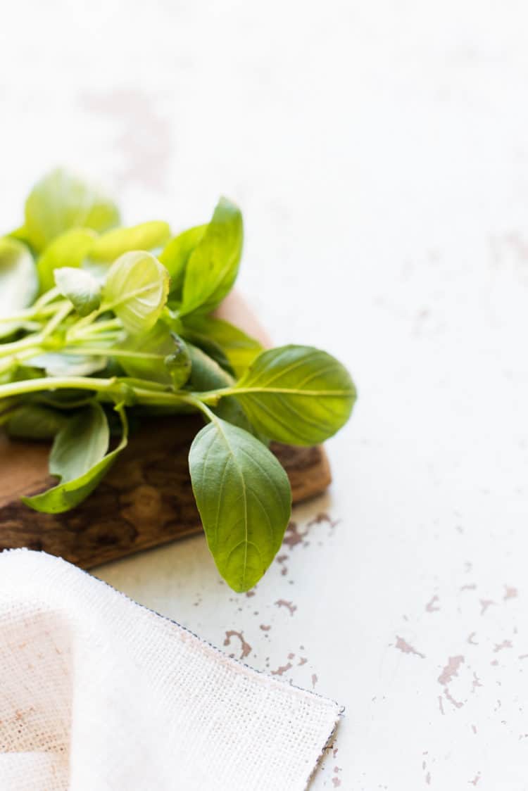 Blueberry Ginger-Basil Soda - Kitchen Confidante®