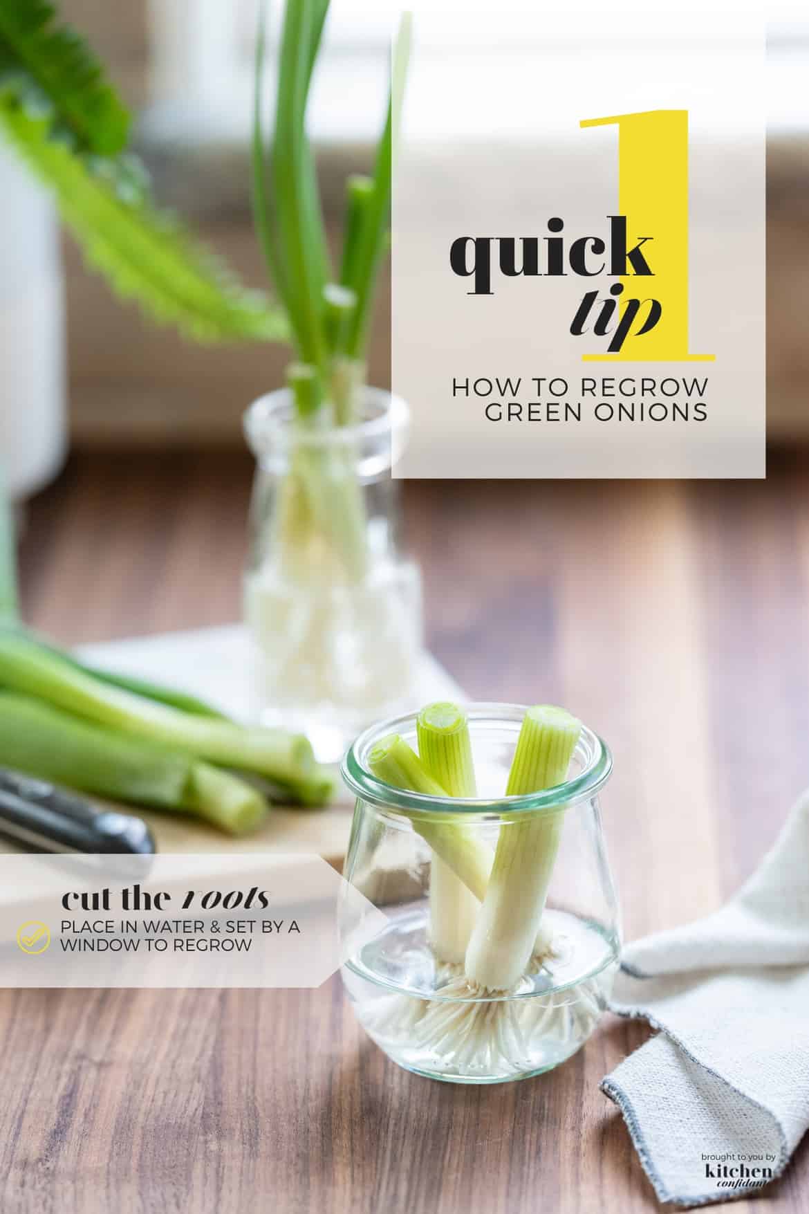 How to Regrow Green Onions | One Quick Tip - Kitchen Confidante®