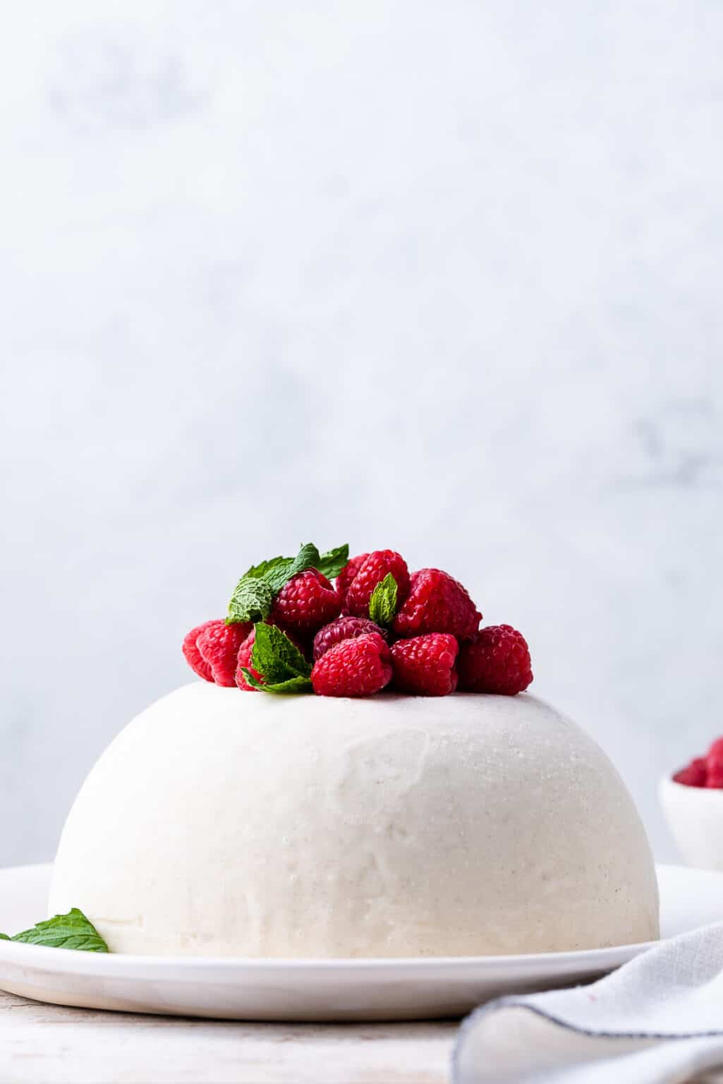 Vanilla Raspberry Ice Cream Bombe - Kitchen Confidante®