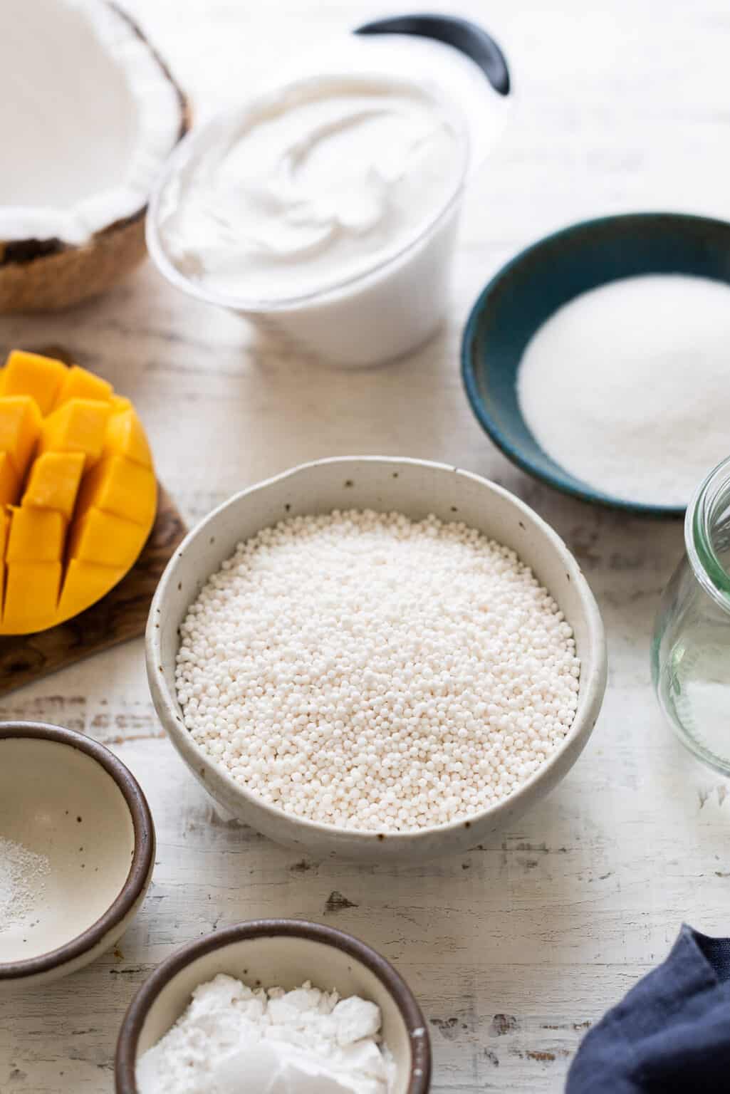 Mango Coconut Tapioca Pudding - Kitchen Confidante®