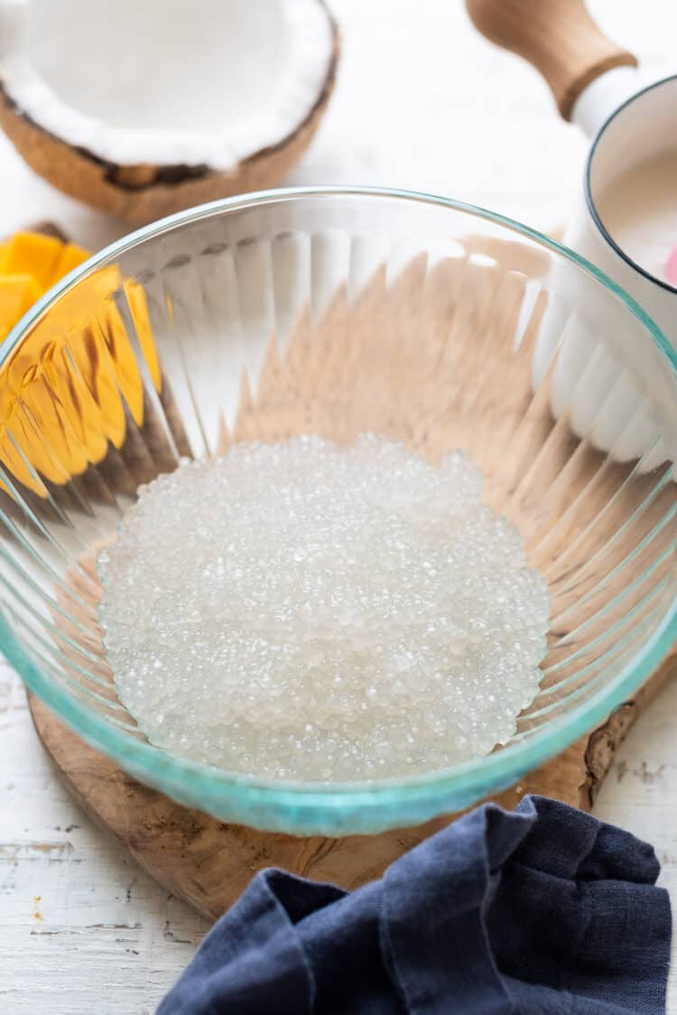 Mango Coconut Tapioca Pudding - Kitchen Confidante®