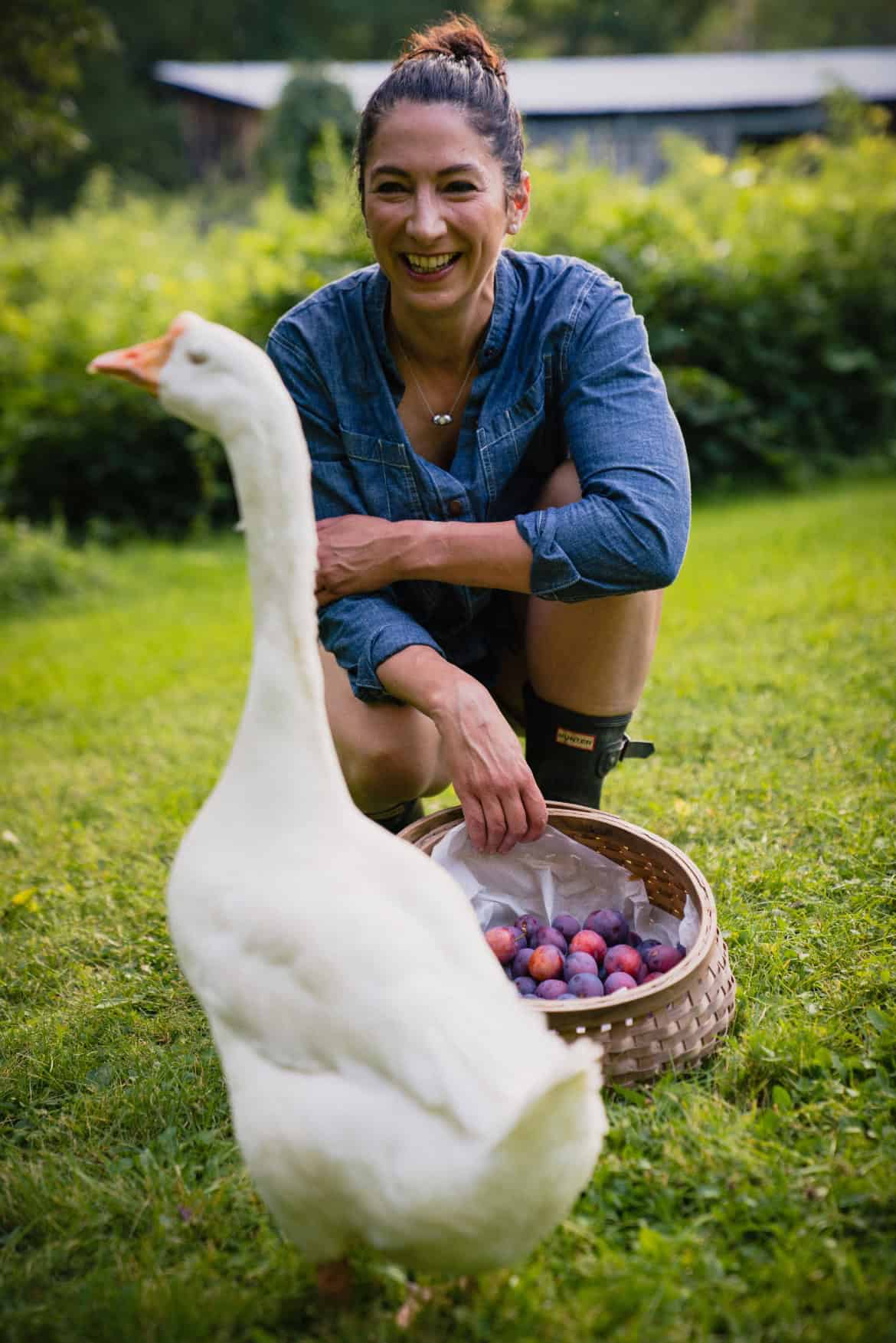 "Half-Assed Homesteading" - My Harvest Kitchen with Gesine Bullock ...